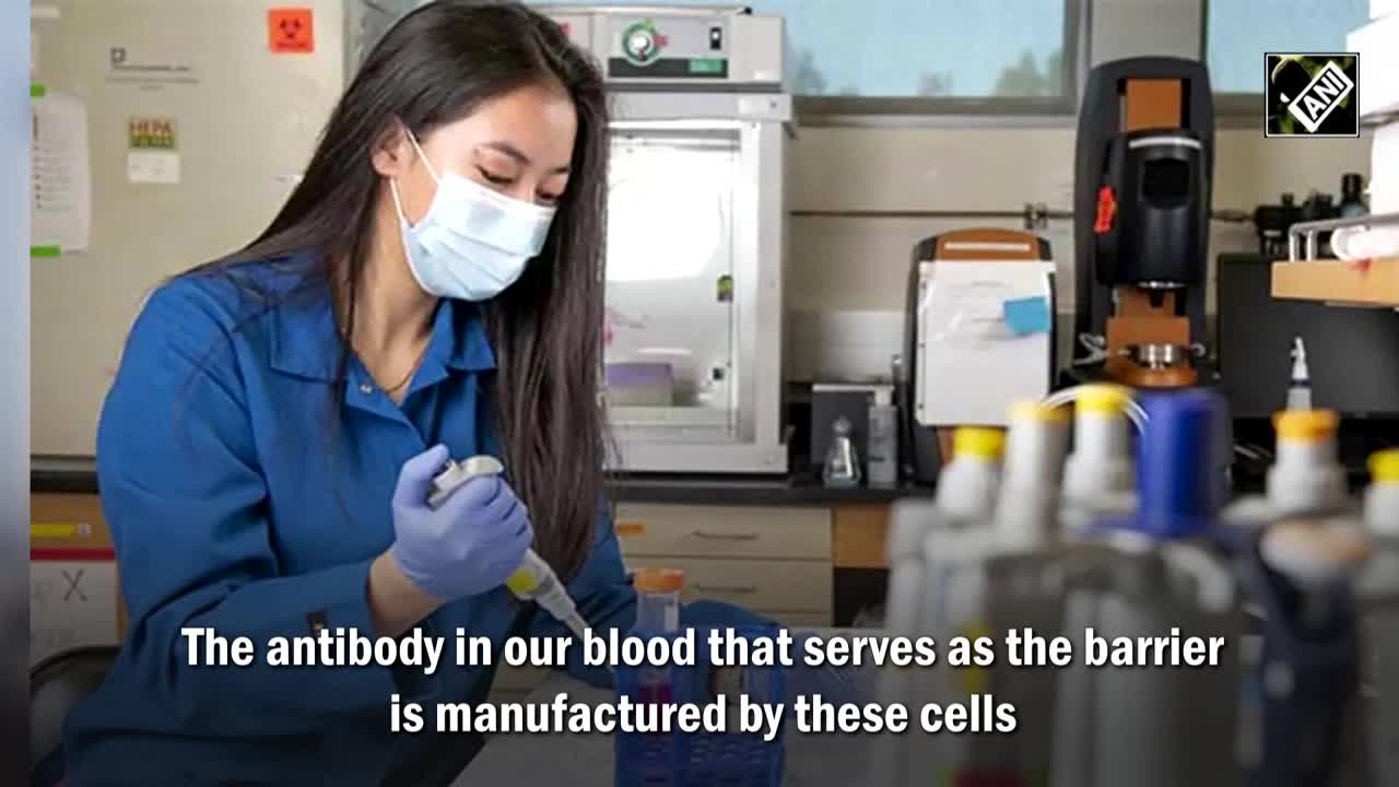 Study finds immune memory cells are stored in bone marrow at one single ...