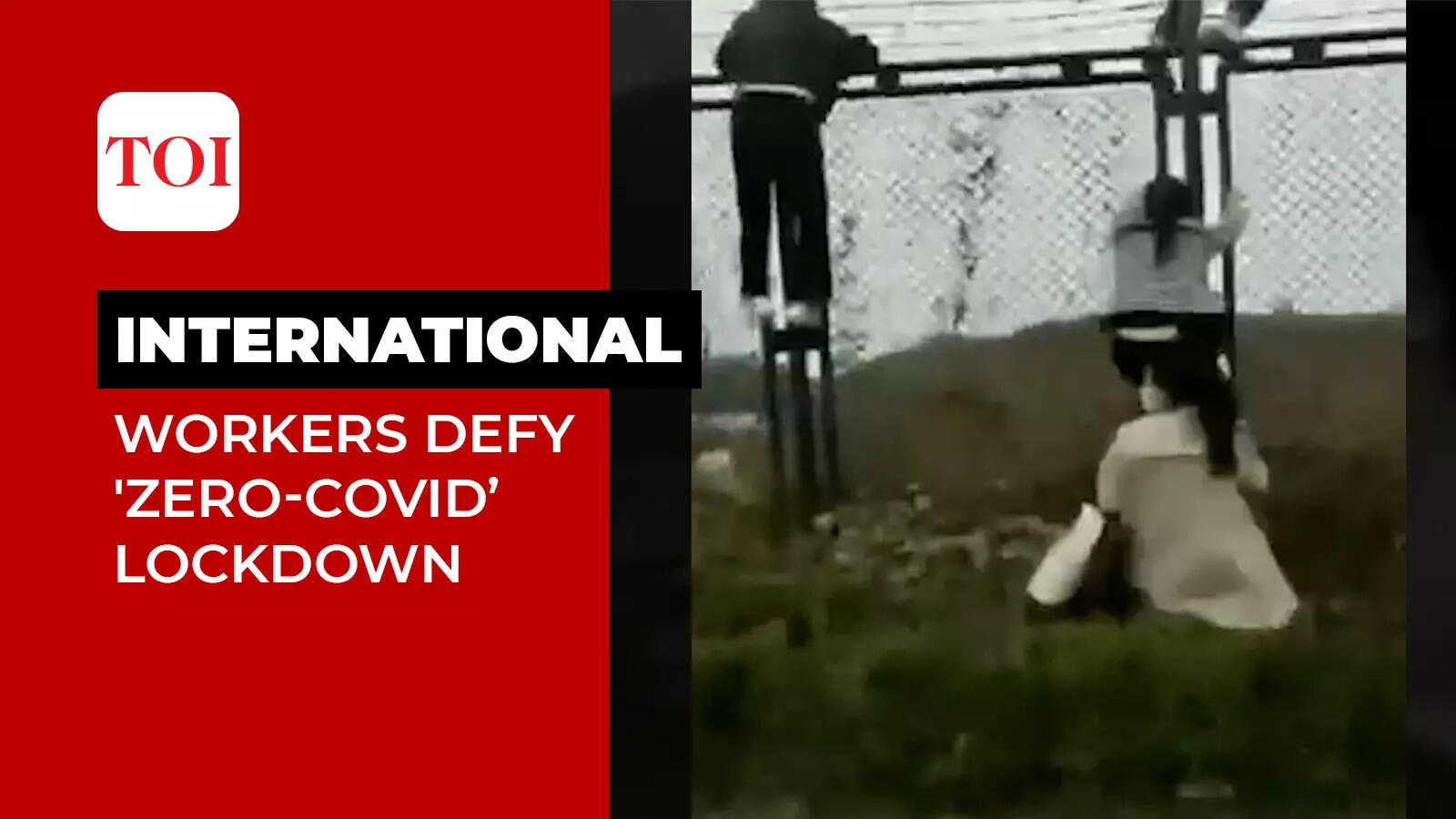 China: Workers flee from iPhone factory as zero-COVID lockdown continues