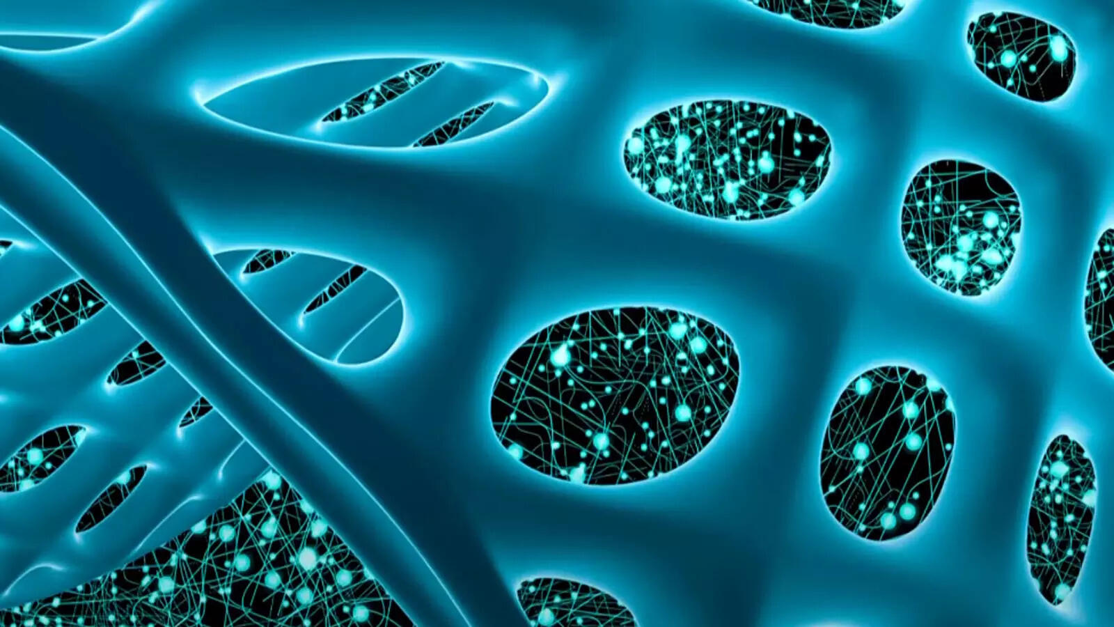 New computational method builds detailed maps of human tissues