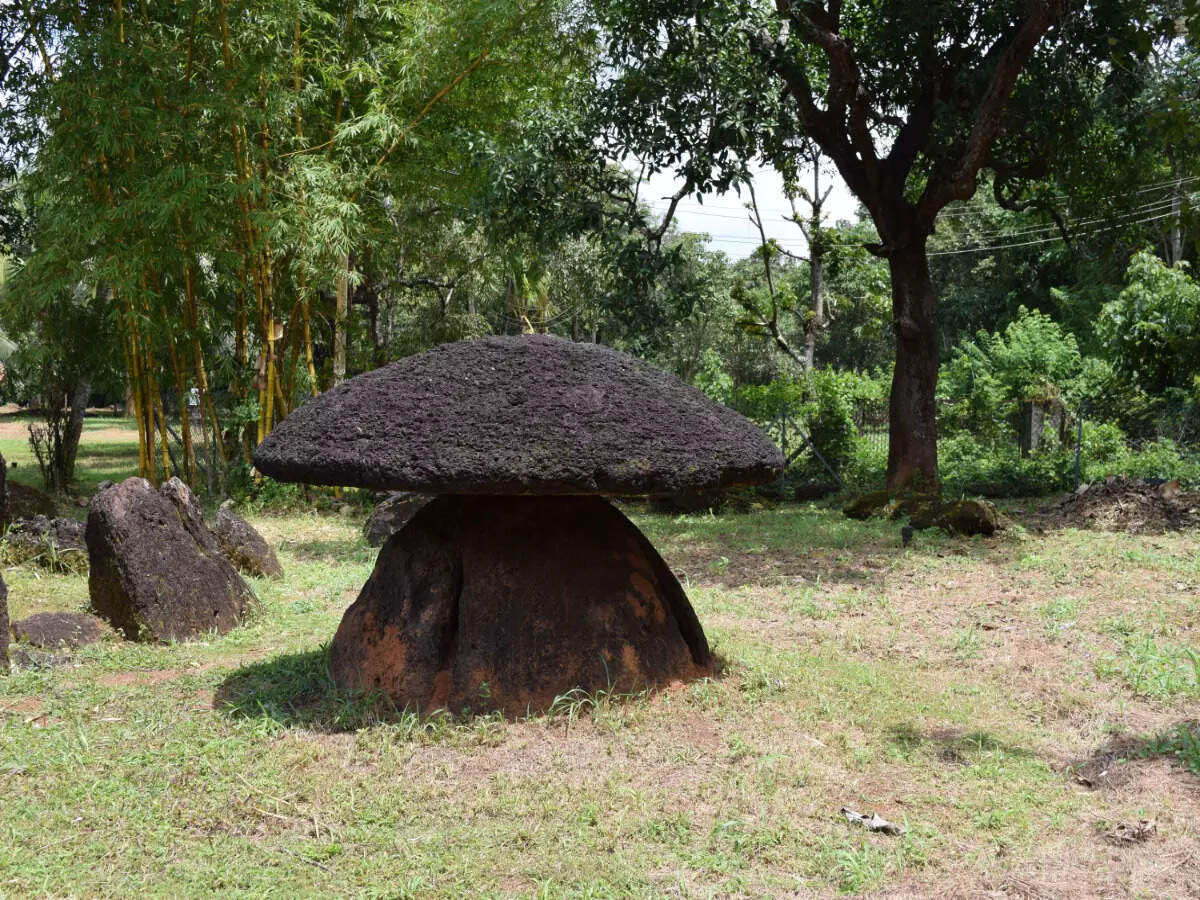 What’s the ancient burial site of Kudakkallu Parambu all about? | Times ...