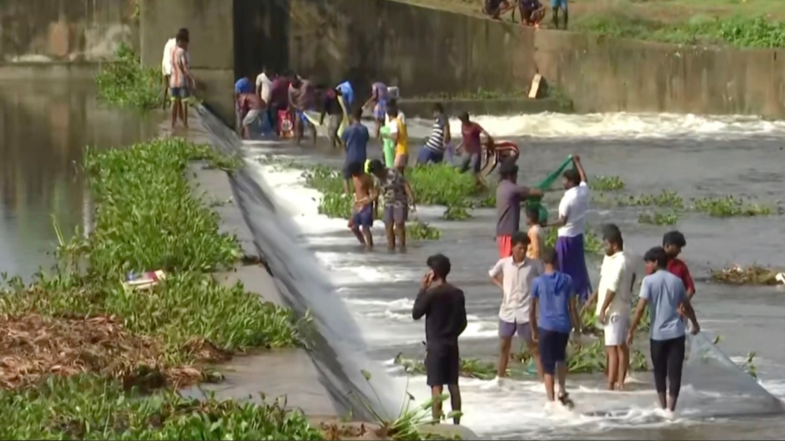 TN: People catch fish from overflowing waterbodies after rain in Chennai