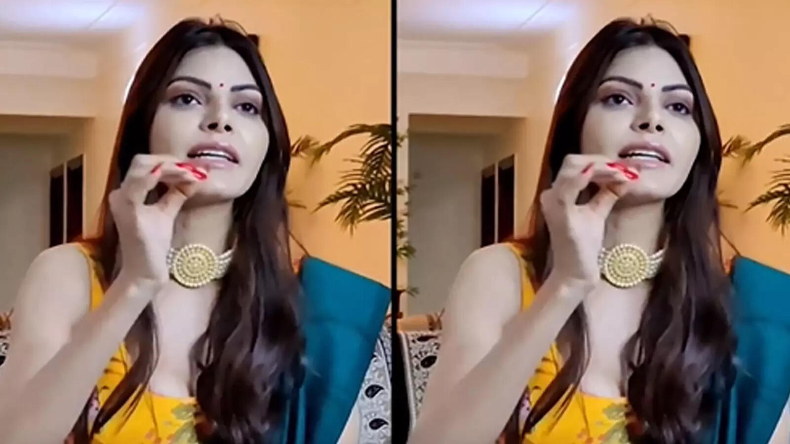 Sherlyn Chopra accuses Rakhi Sawant of 'changing boyfriends and husbands on a subscription basis'