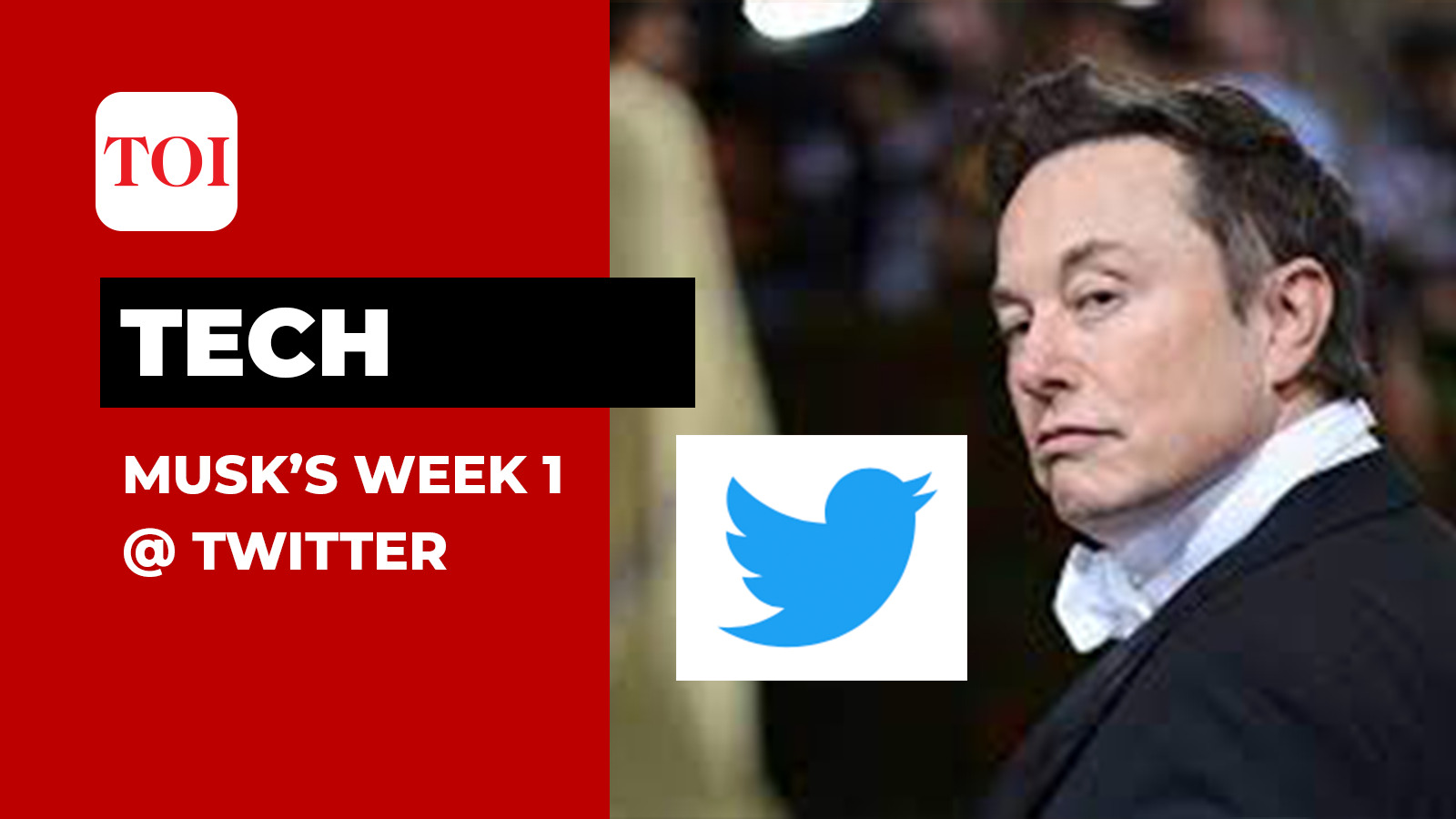 First week, some show: Era of Elon Musk begins at Twitter