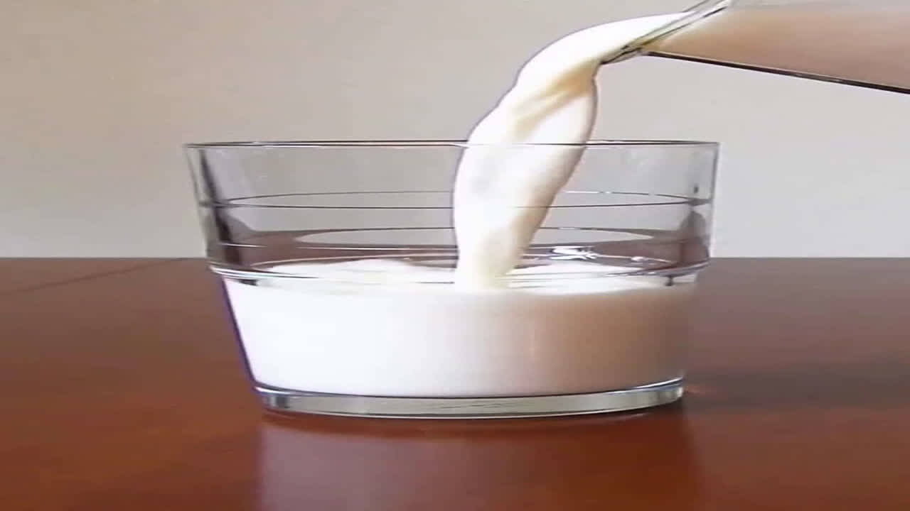 Cow milk - Times Food