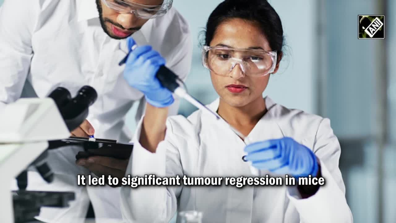 Researchers find experimental cancer vaccine shows promise in animals