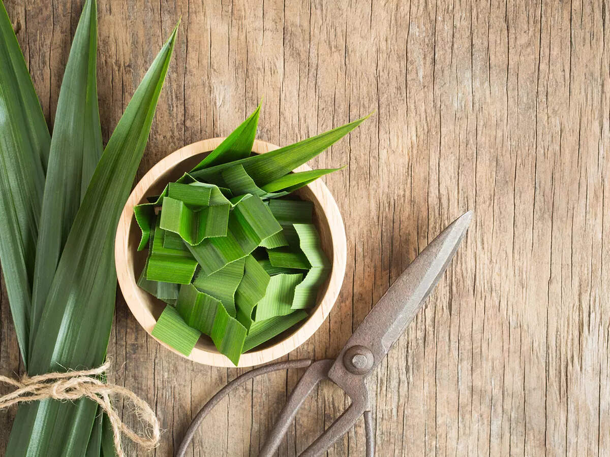 Adding this leaf to boiling rice can give a basmati aroma