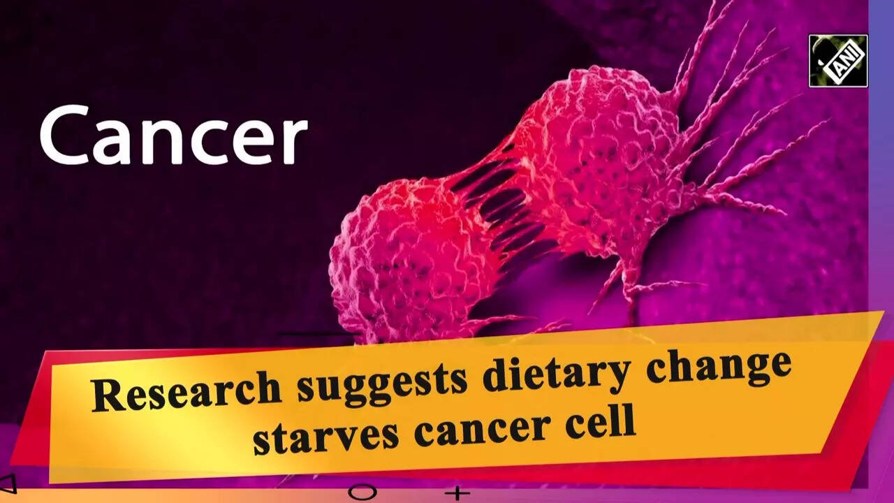 Research suggests dietary change starves cancer cell