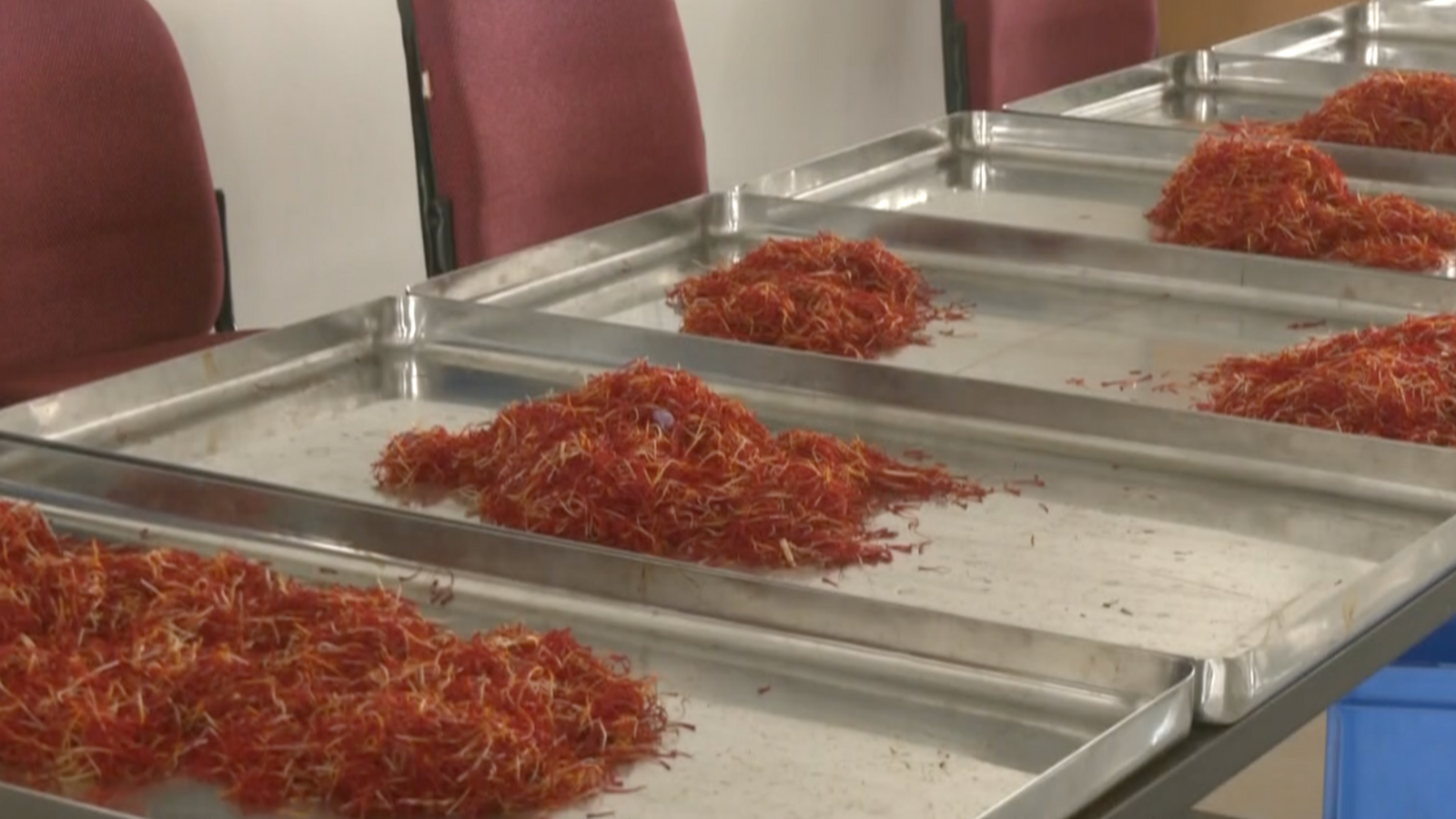 High-tech Spice Park playing major role in maintaining quality of ...