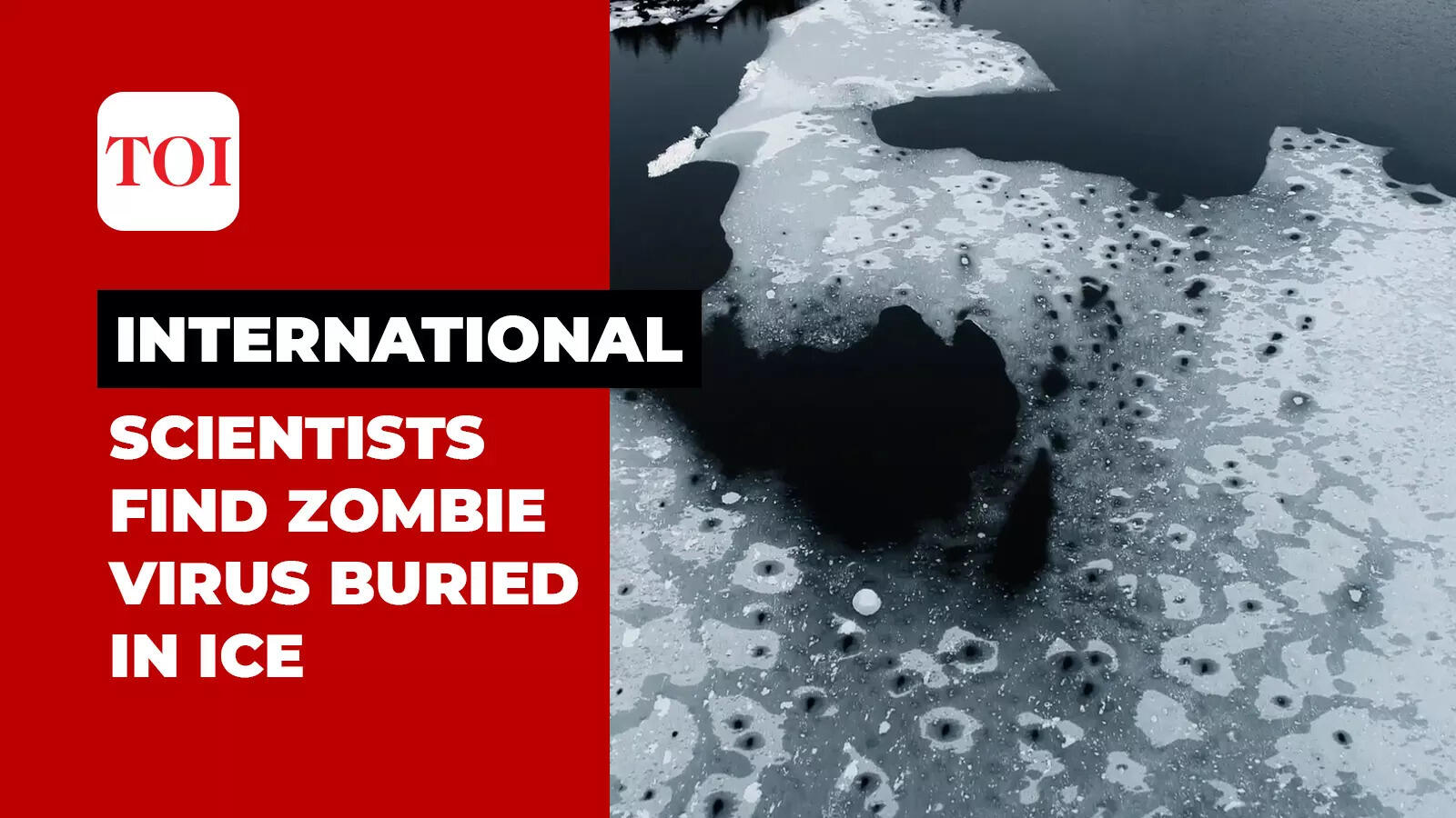 russia: Scientists revive 48,500-year-old 'Zombie Virus' buried in ice ...