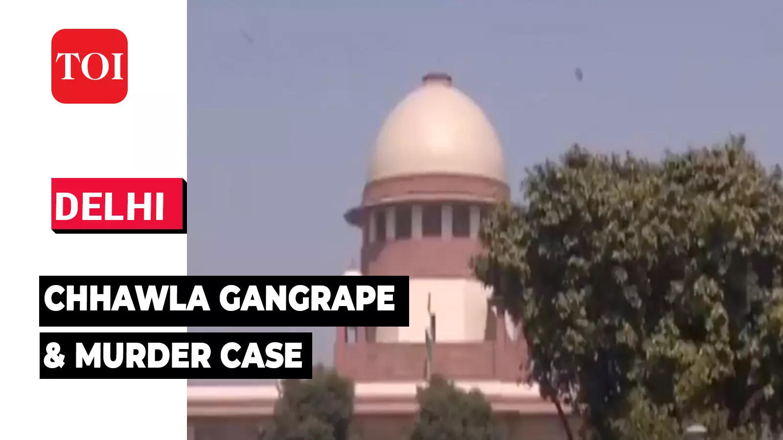 Chhawla gangrape & murder case: Review plea against convicts' acquittal ...