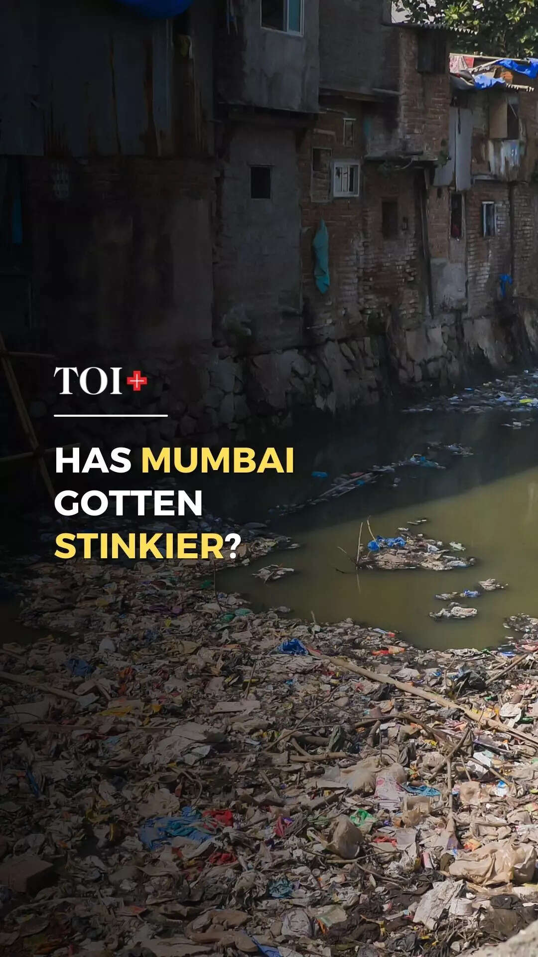 Nullahs, poop, burning plastic, garbage dump... Mumbai is getting stinkier
