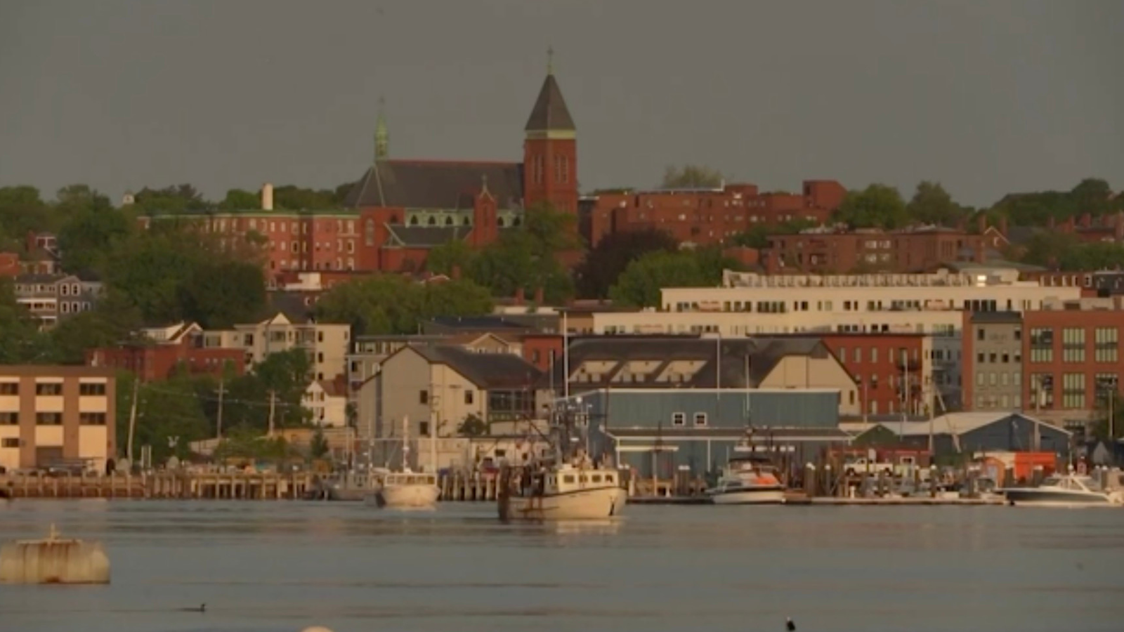 Could trawler cameras save world's dwindling fish stocks?