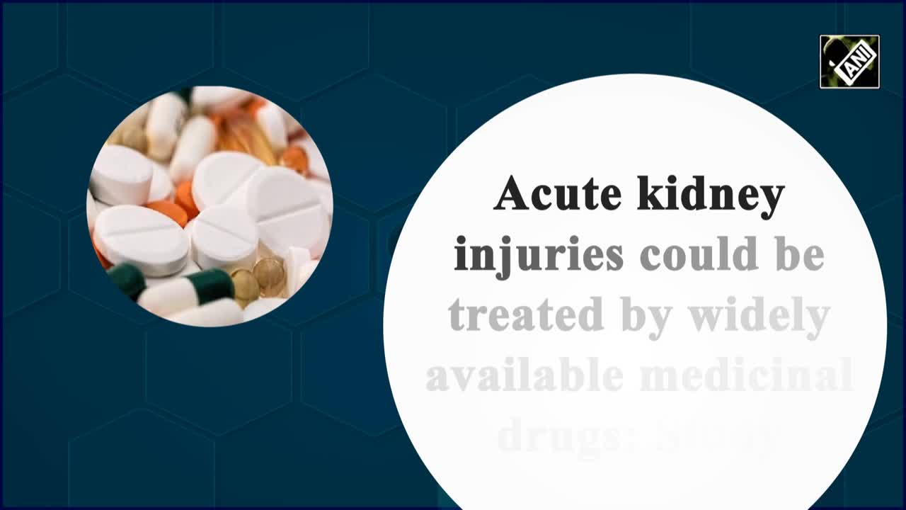 Acute kidney injuries could be treated by widely available medicinal ...