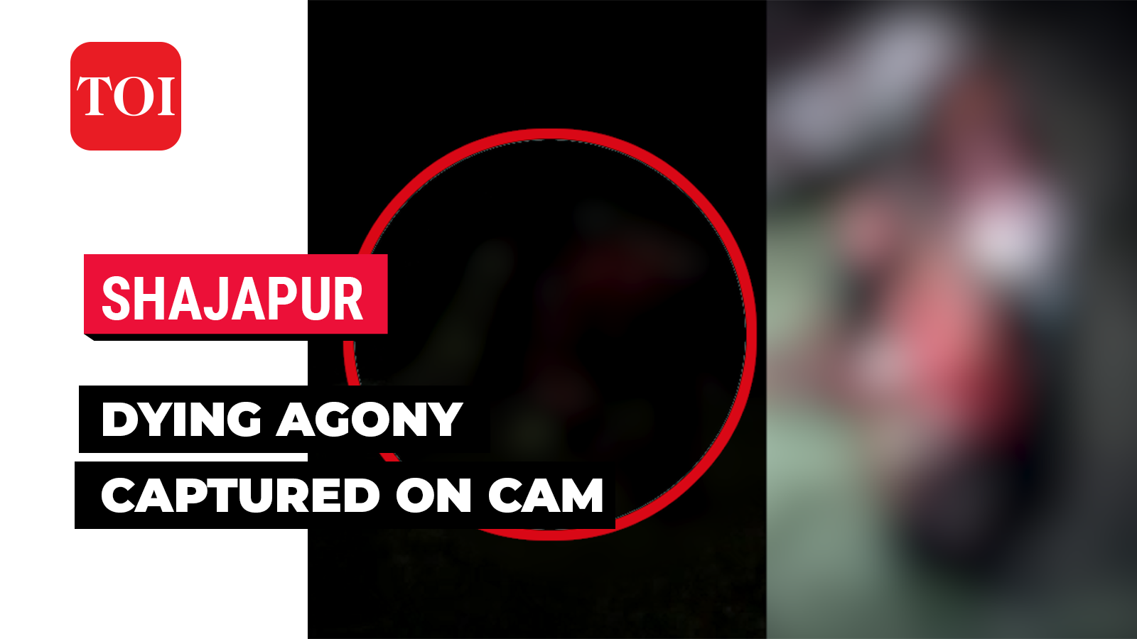 Shocking: Crowd captures video while man bleeds to death in MP’s Shajapur Shocking: Crowd captures video while man bleeds to death in MP’s Shajapur