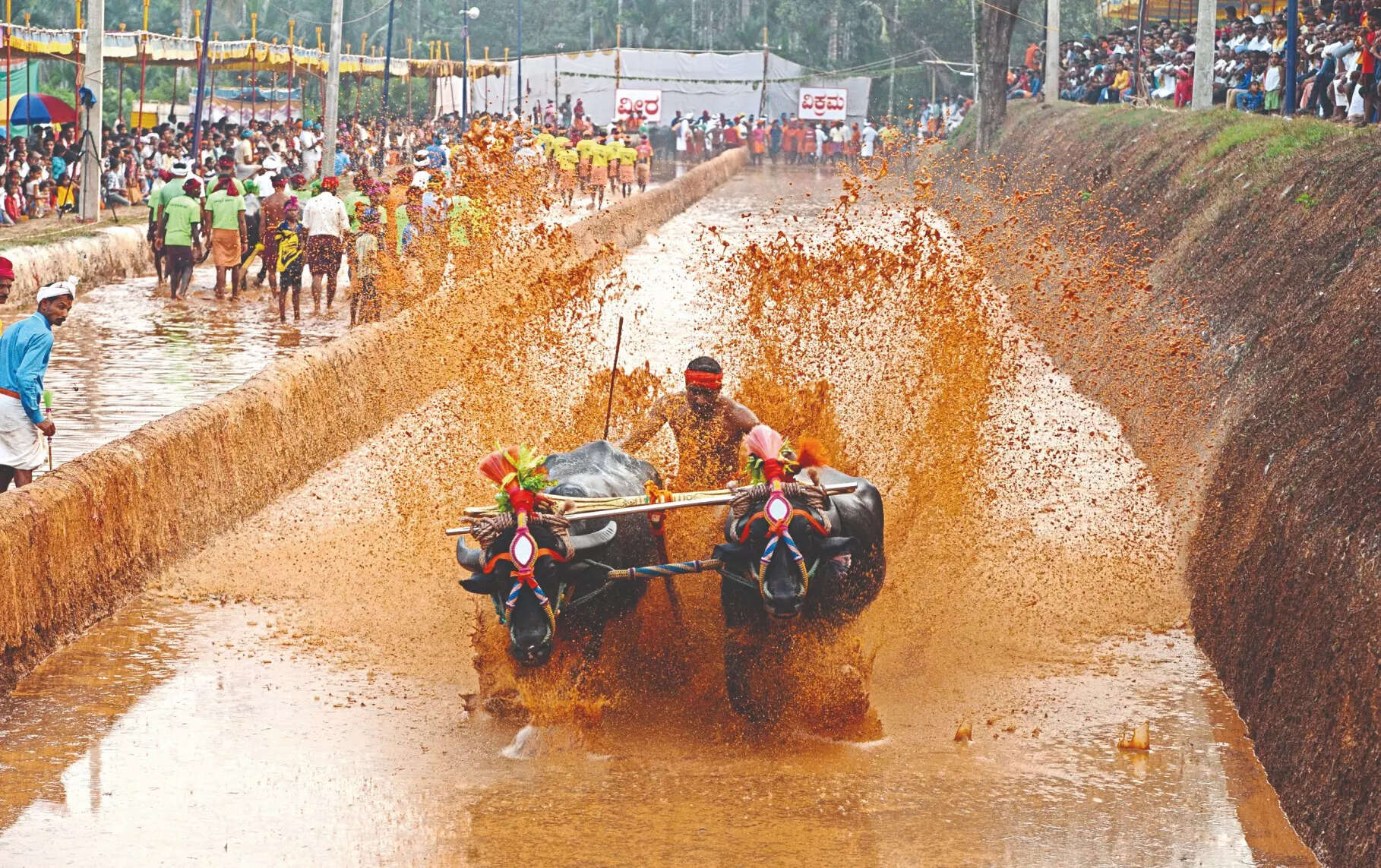 This year, Kantara adds to Kambala tourism sheen across coastal ...