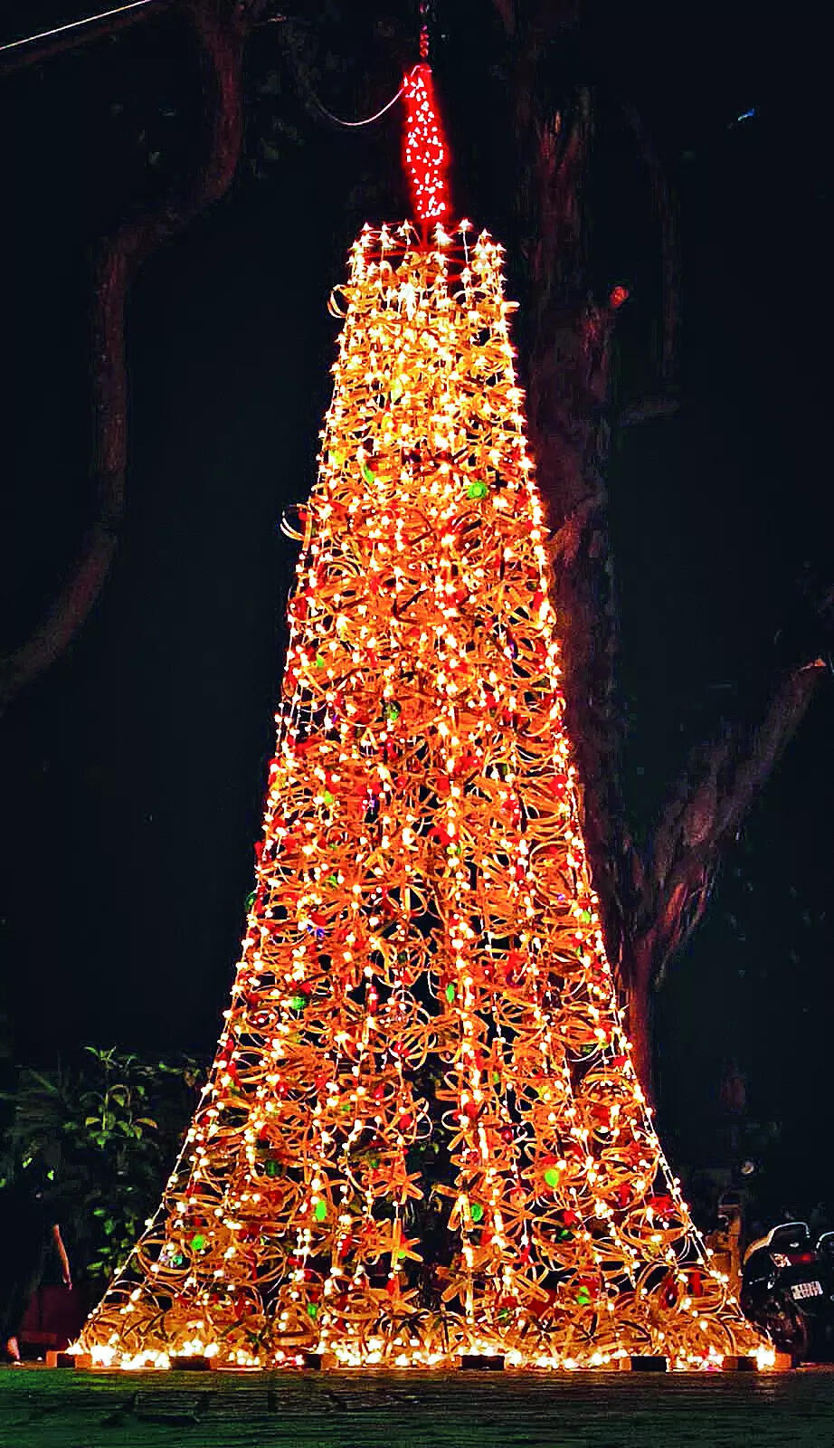 This church in Bengaluru has been making Christmas trees with reusable ...