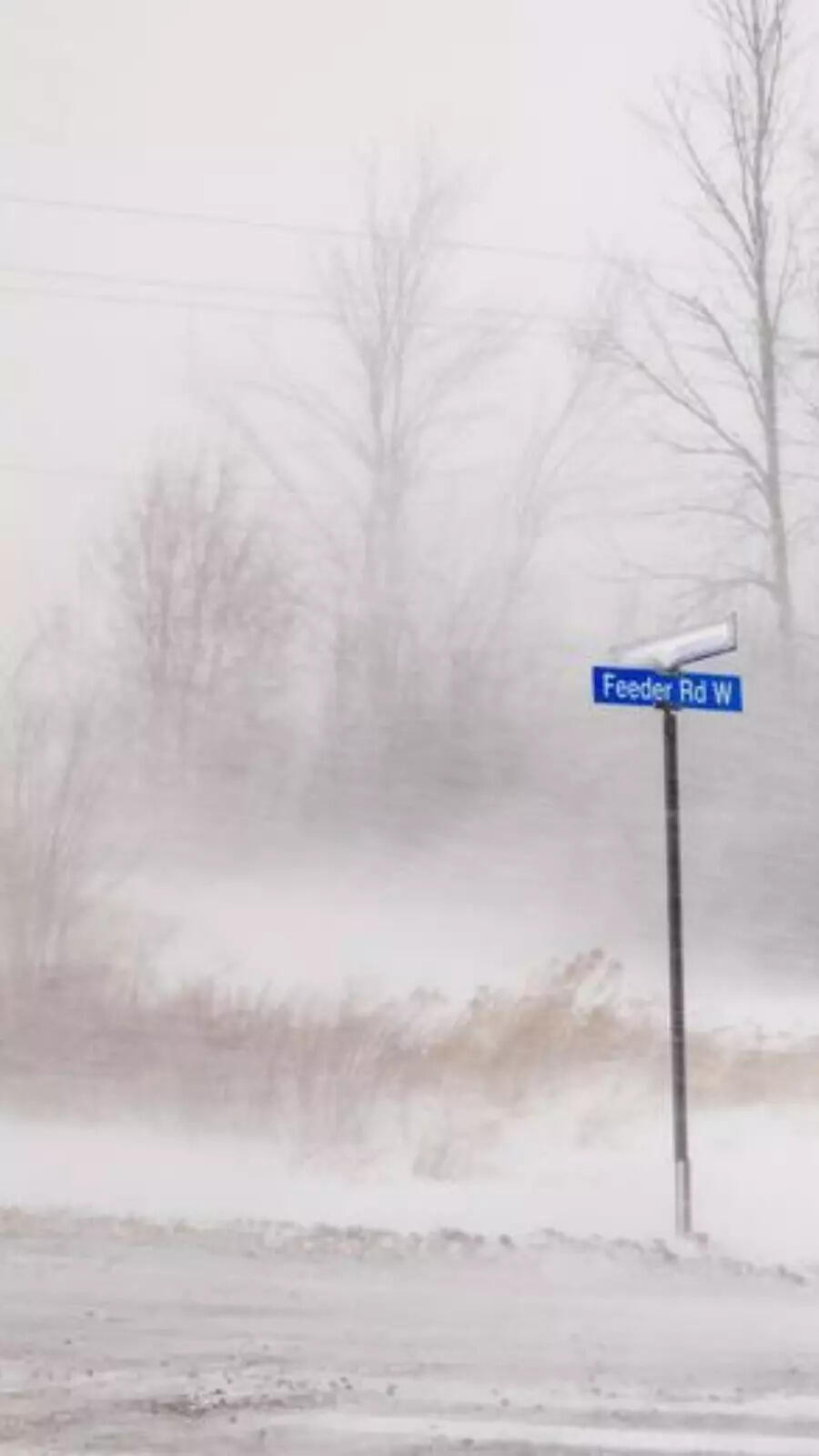 Global cold wave: Fog grips north India, snow storms…