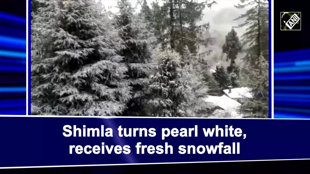 shimla: Shimla turns pearl white, receives fresh snowfall