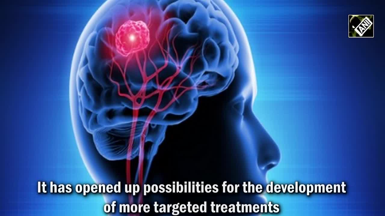 Research reveals new links between brain over-activity and ...