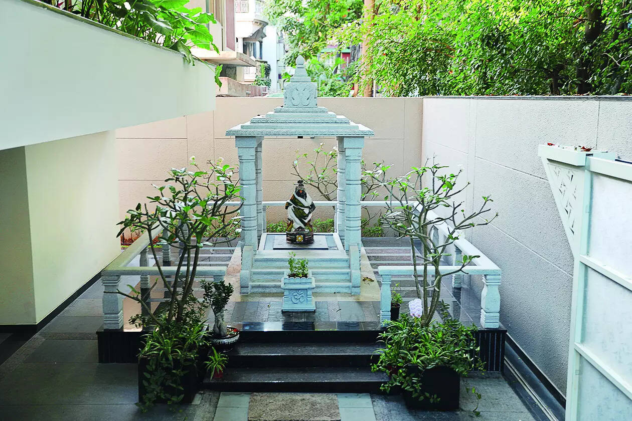 House number 1203: Welcome to Sahasa Simha’s den, Valmika - Times of India