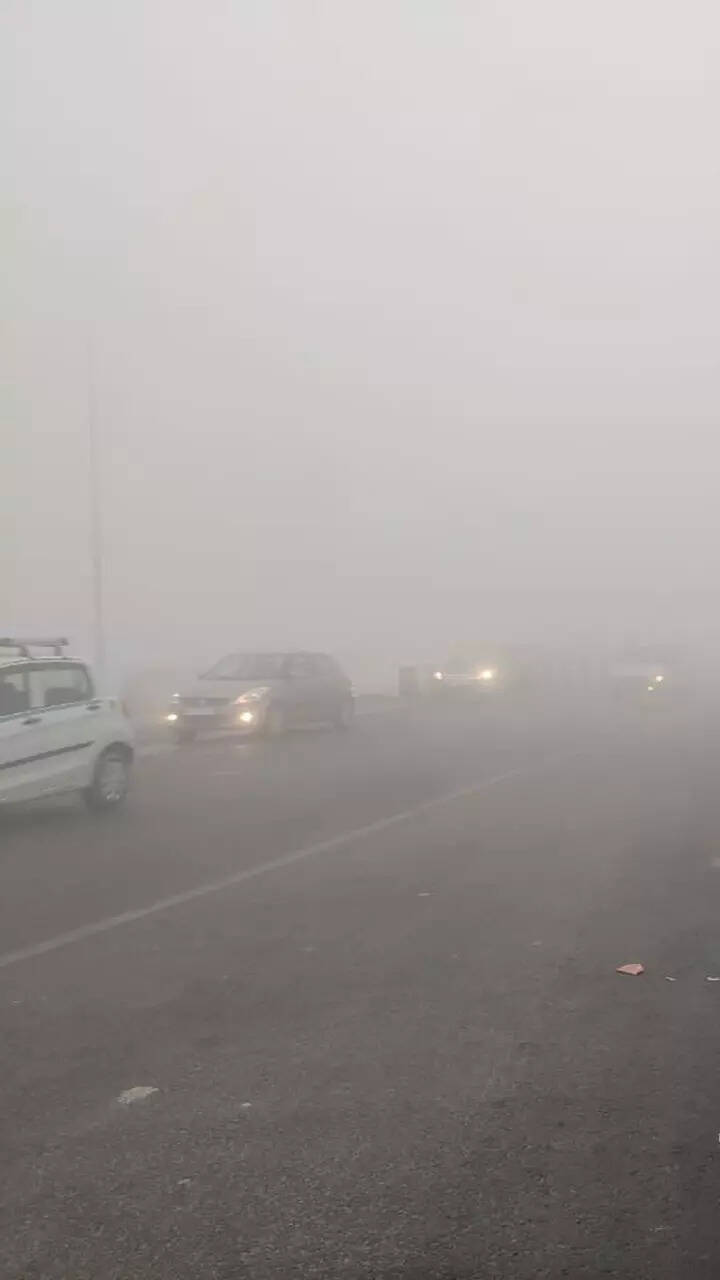 Delhi witnesses season's longest fog spell; rail, air traffic hit ...
