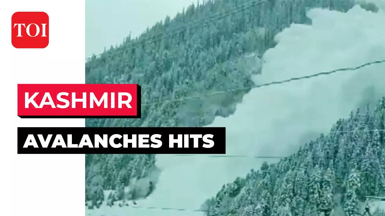 Jammu and Kashmir: Twin avalanches hit Sonmarg, 1 labourer killed Jammu and Kashmir: Twin avalanches hit Sonmarg, 1 labourer killed