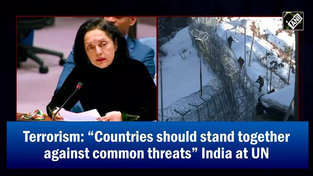 Terrorism: “Countries should stand together against common threats ...