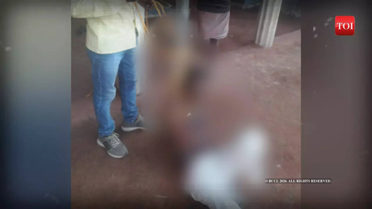 Dalit Laborer Tied To A Rope Stripped And Beaten Up In Up 2691