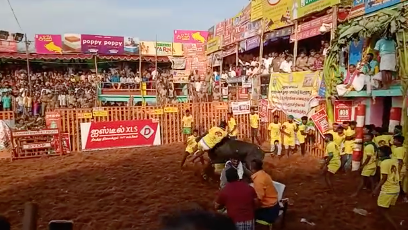 Tamil Nadu minister P Moorthy flags off Palamedu Jallikattu