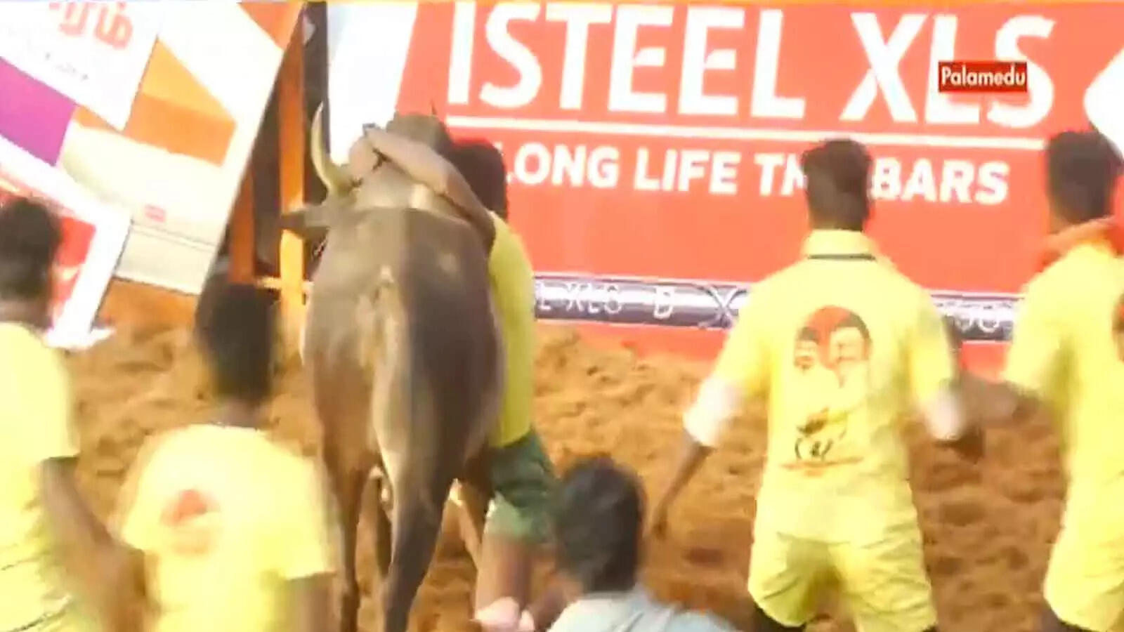 Tamil Nadu: 1 dead, 60 injured during Jallikattu event in Madurai