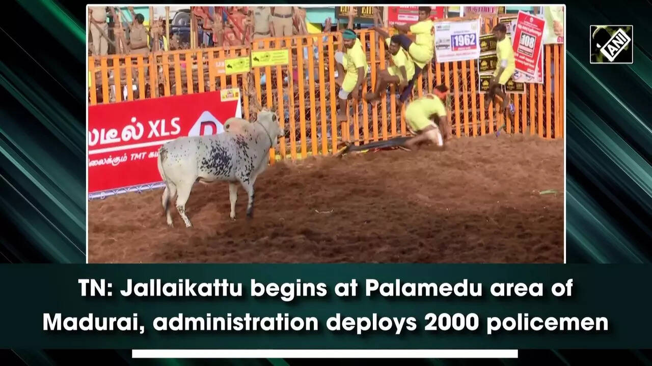 tamil nadu: Tamil Nadu: Around 60 injured during Jallikattu event at ...