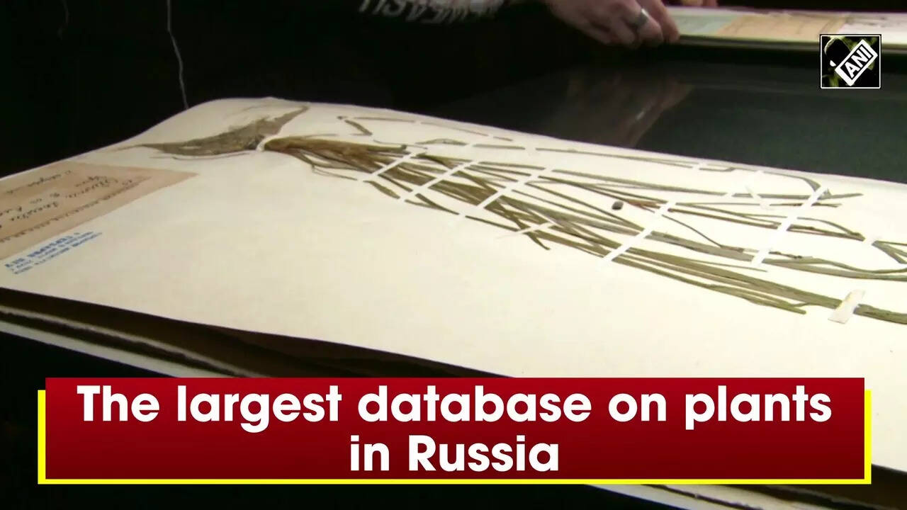 The largest database on plants in Russia