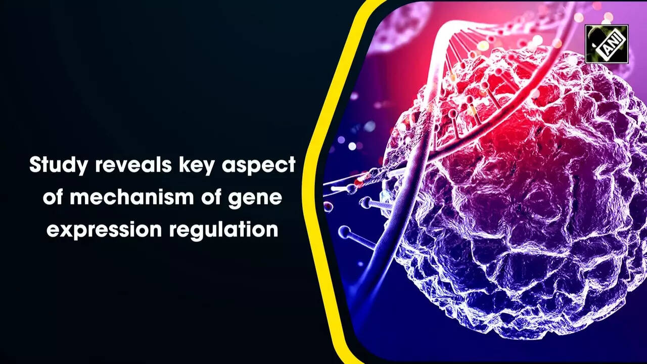 Study reveals key aspect of mechanism of gene expression regulation