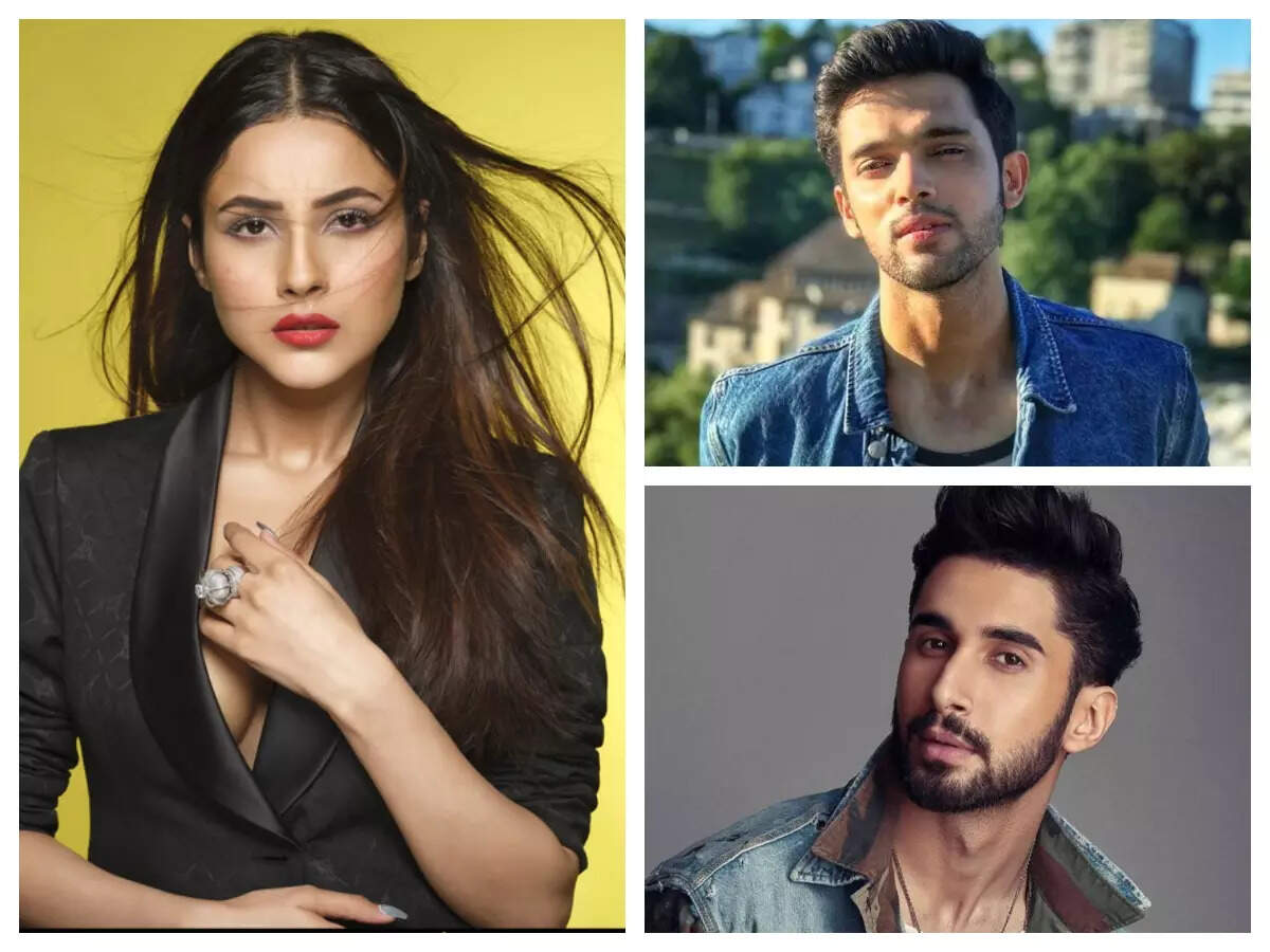 Shehnaaz Gill, Parth Samthaan, Laksh Lalwani: TV actors gearing up for their big Bollywood debut