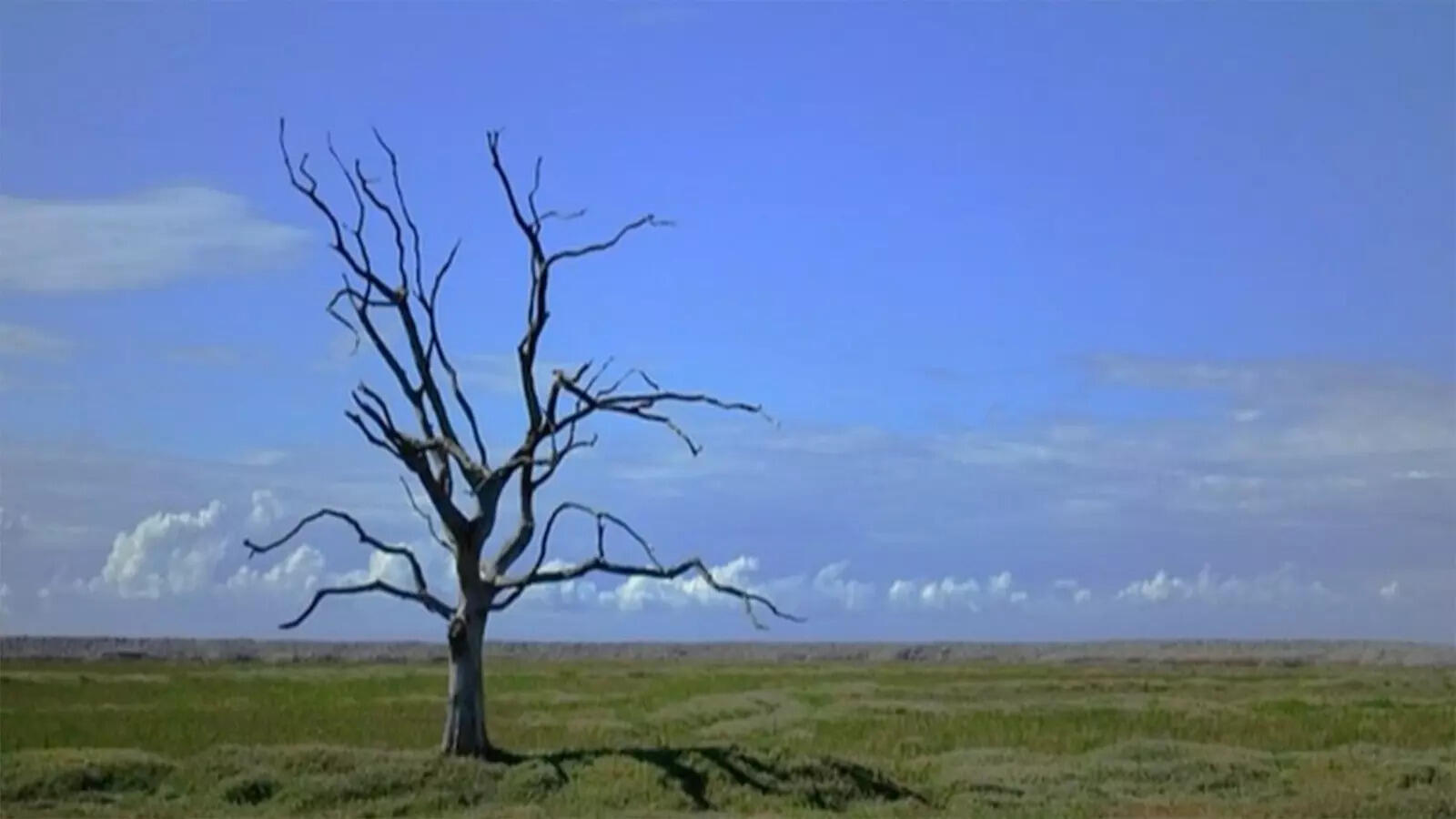 Climate change makes people too poor to migrate Study