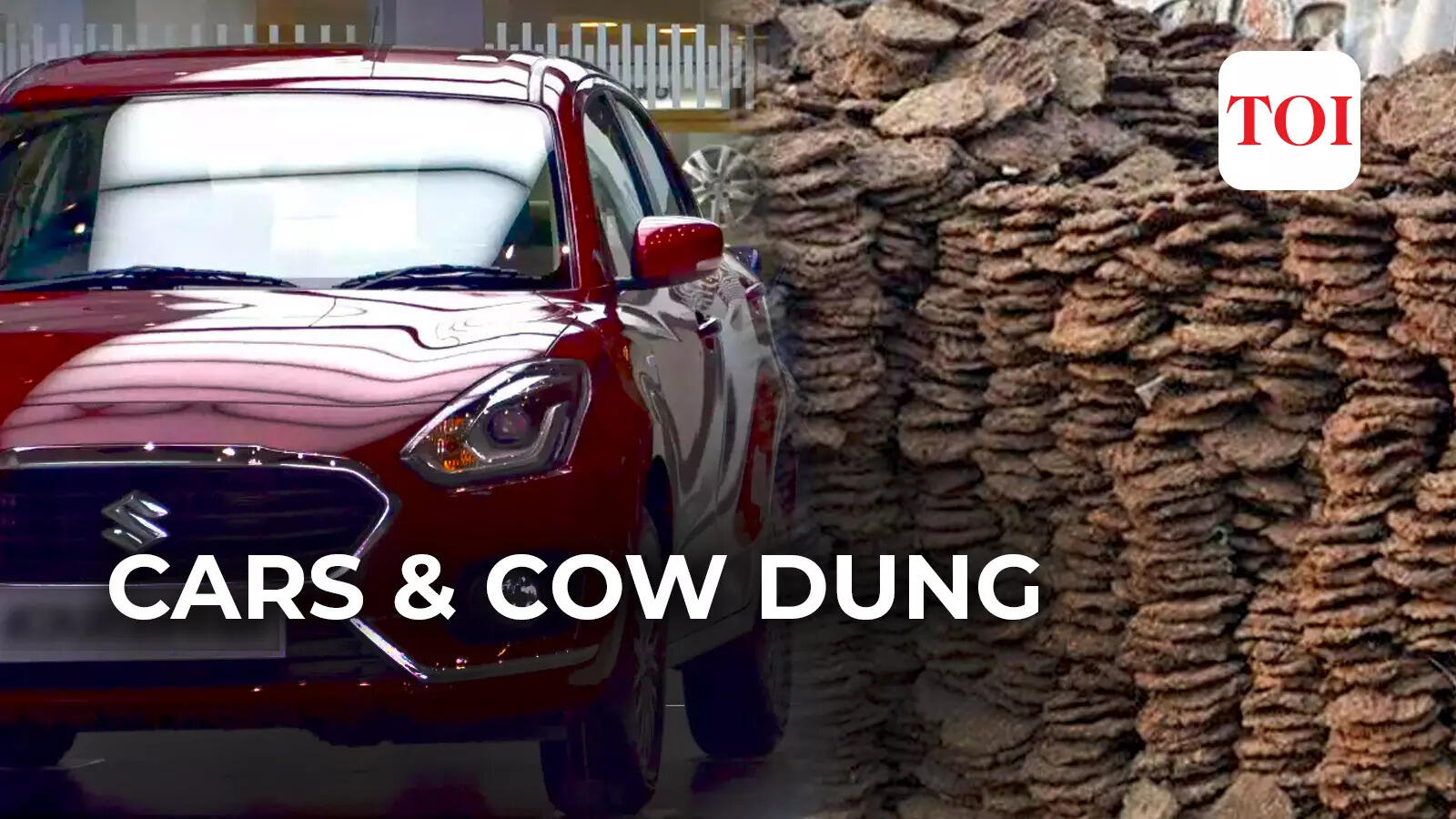 Can future cars be powered using cow dung? Maruti is already thinking about it