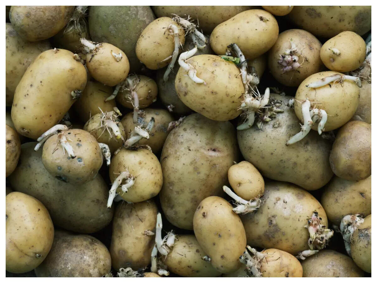 Chef Kunal Kapoor suggests smart ways to retain the shelf life of ...