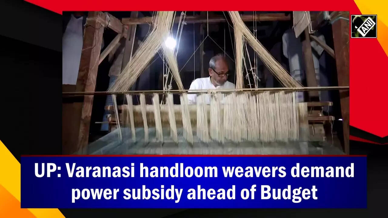 UP: Varanasi handloom weavers demand power subsidy ahead of Budget