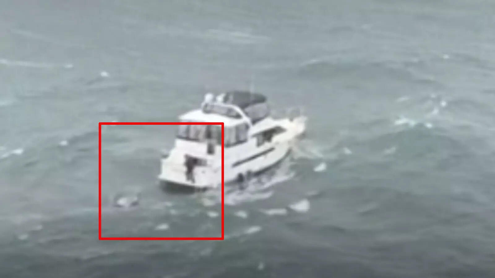 Huge wave capsizes boat as rookie U.S. Coast Guard swimmer rescues man ...