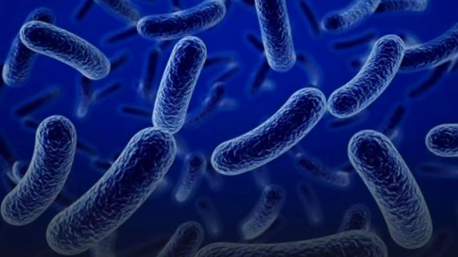 Here's why microbes in the deep ocean live without sunlight