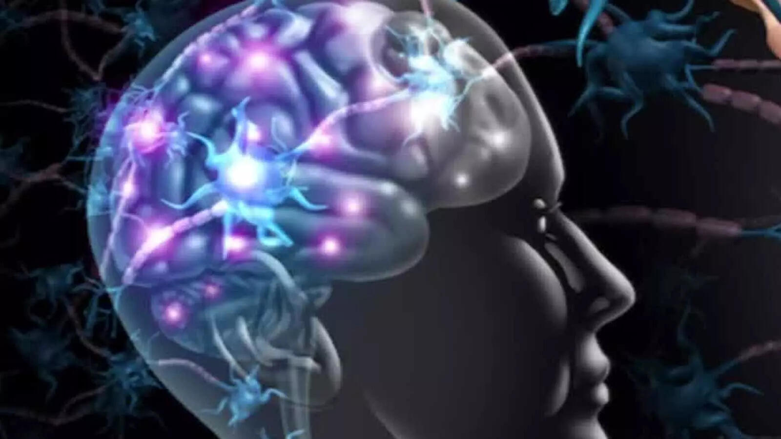 Harnessing good fats helps to relieve multiple sclerosis: Research