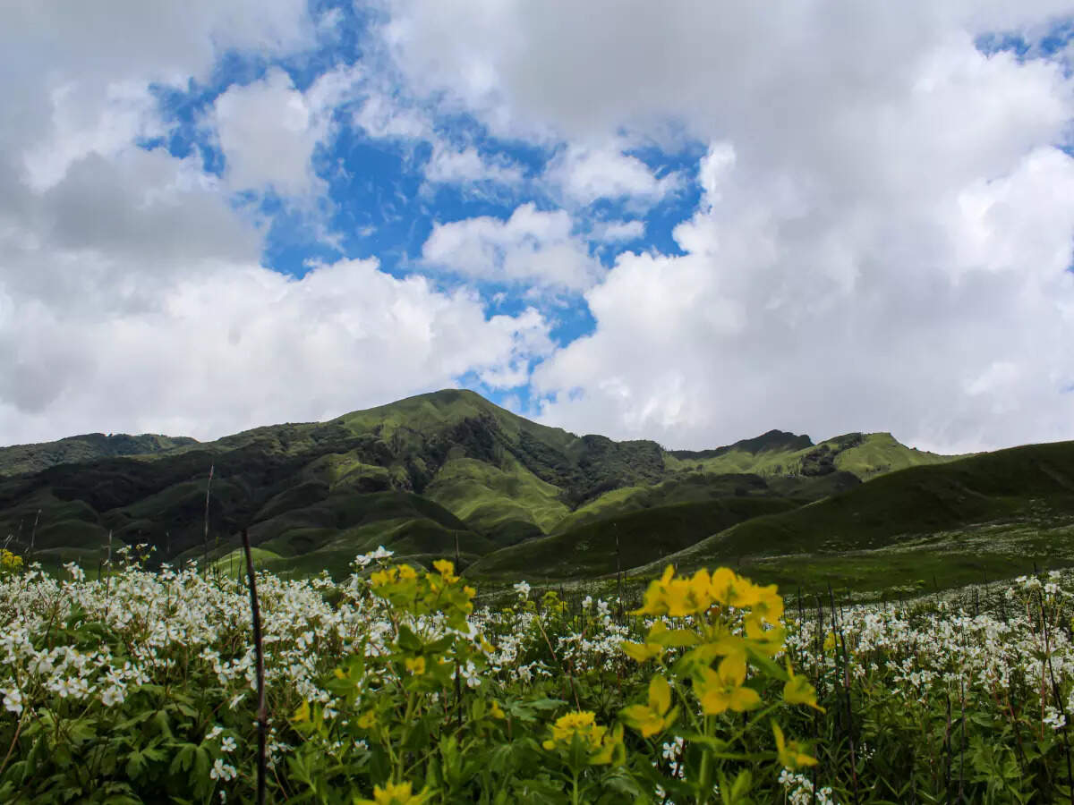 A beginner’s guide to Dzukou Valley in Nagaland | Times of India Travel