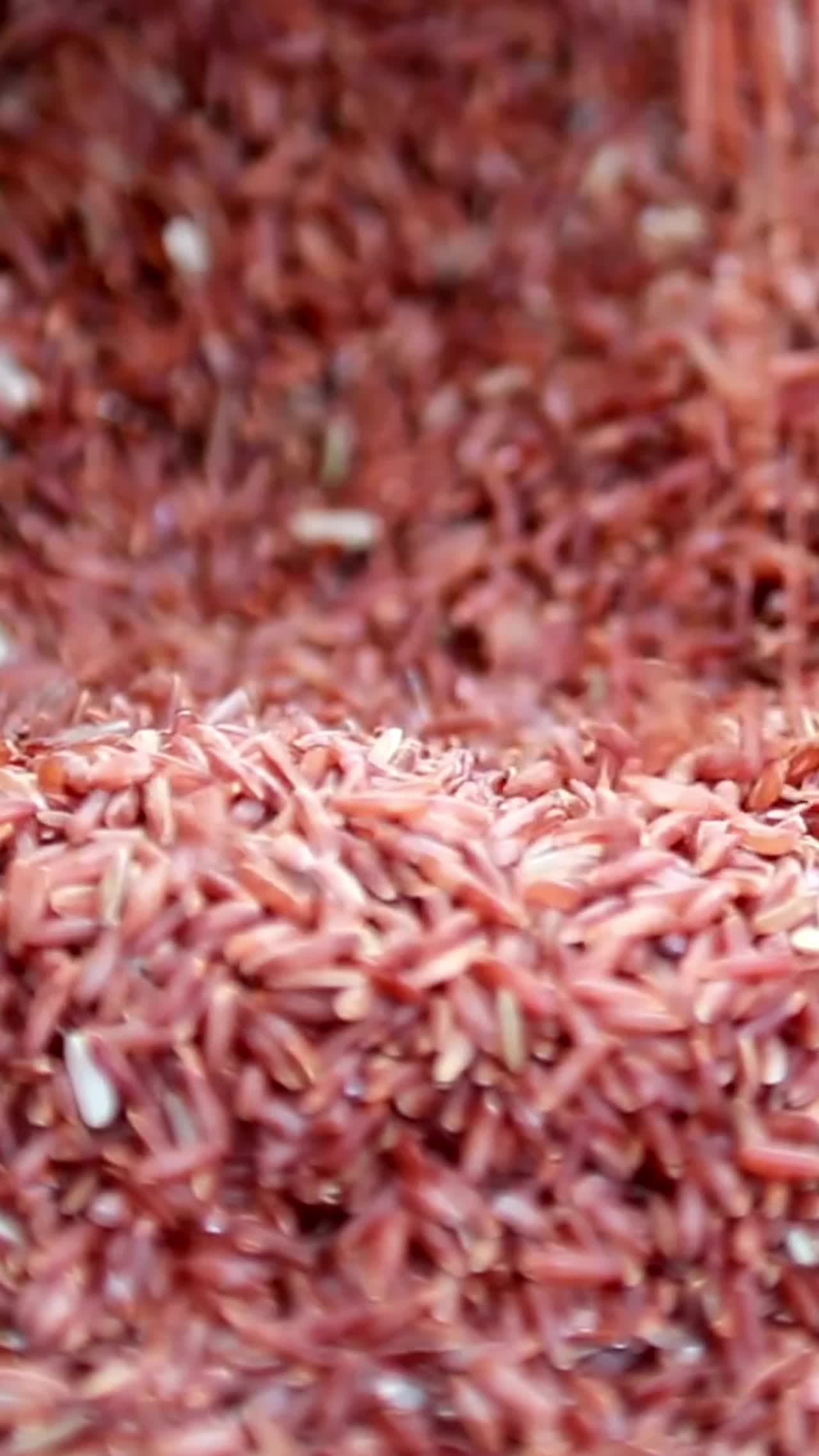 How to use red rice? - Times Food