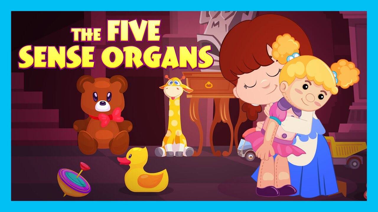 Check Out Latest Kids English Nursery Story 'The Five Sense Organs' For ...