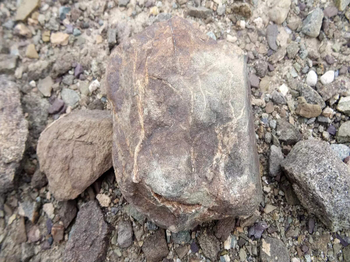 Stories of Ladakh that are etched in rocks | Times of India Travel