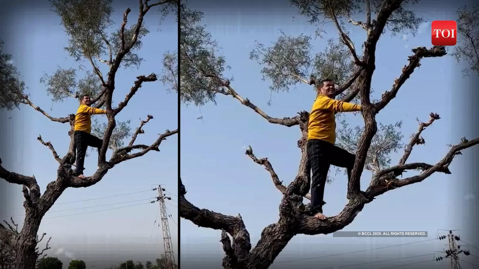 Chattisgarh IPS climb tree with ease, recalling childhood memory in ...