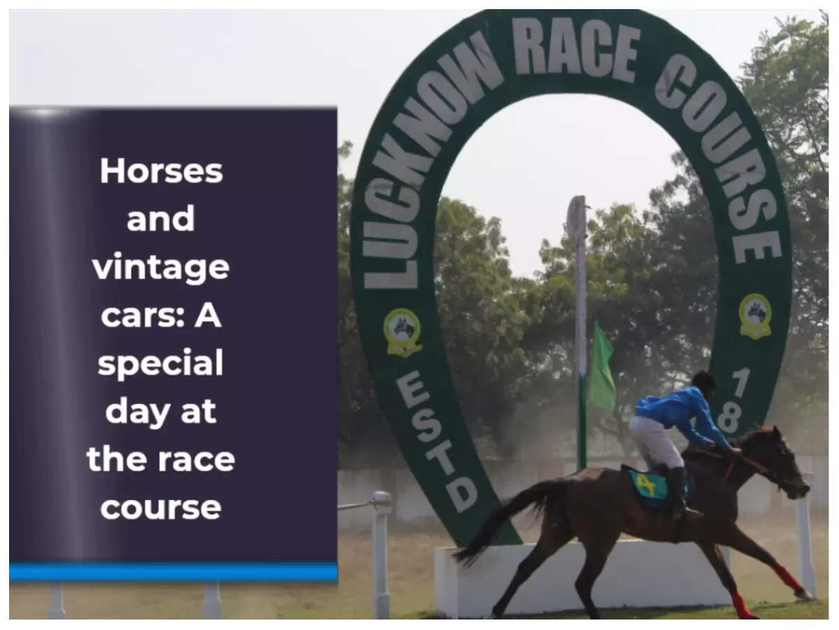 Horses and vintage cars: A special day at the race course