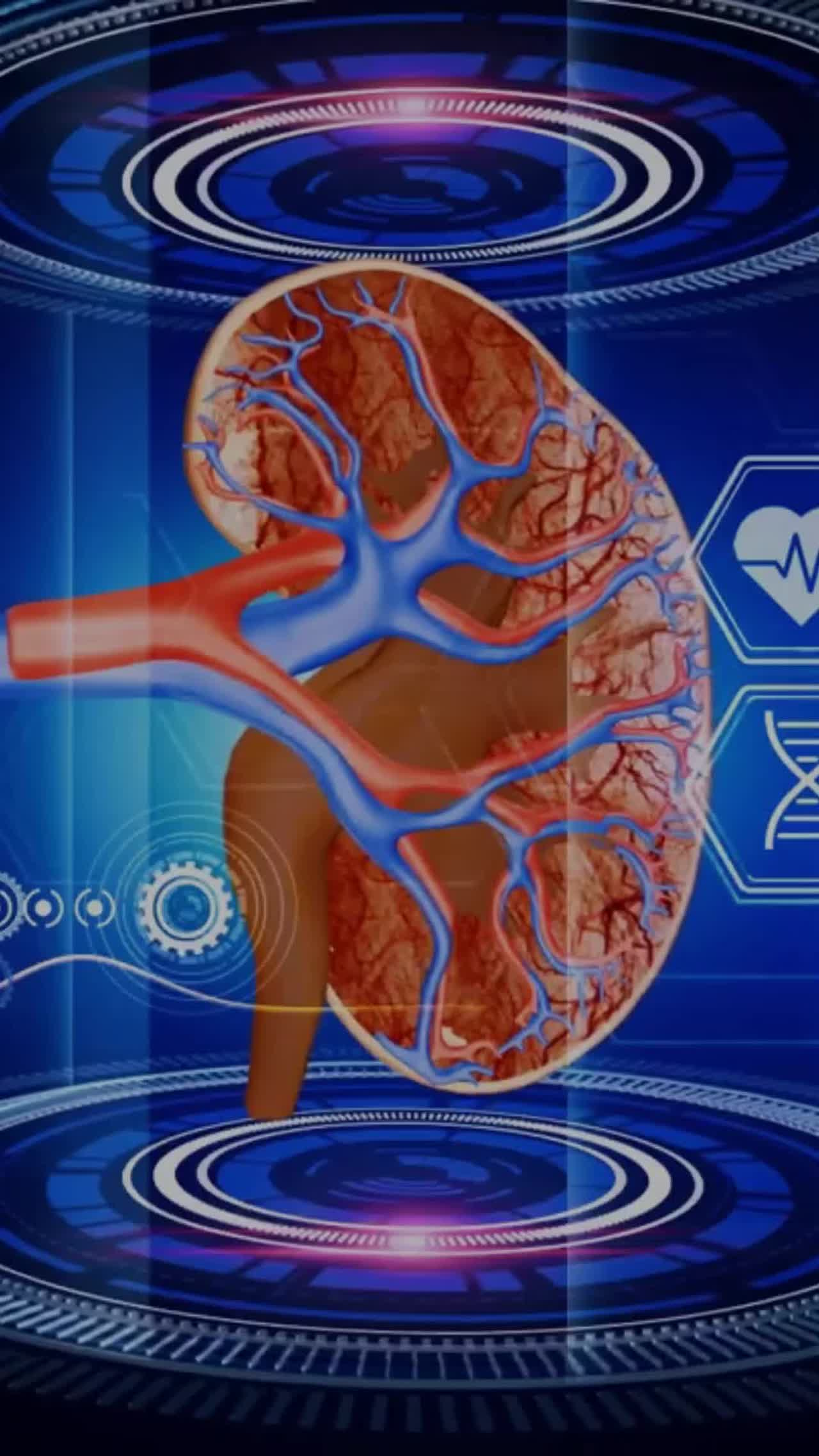 Kidney Buddy: Can this new treatment revolutionise dialysis treatment ...