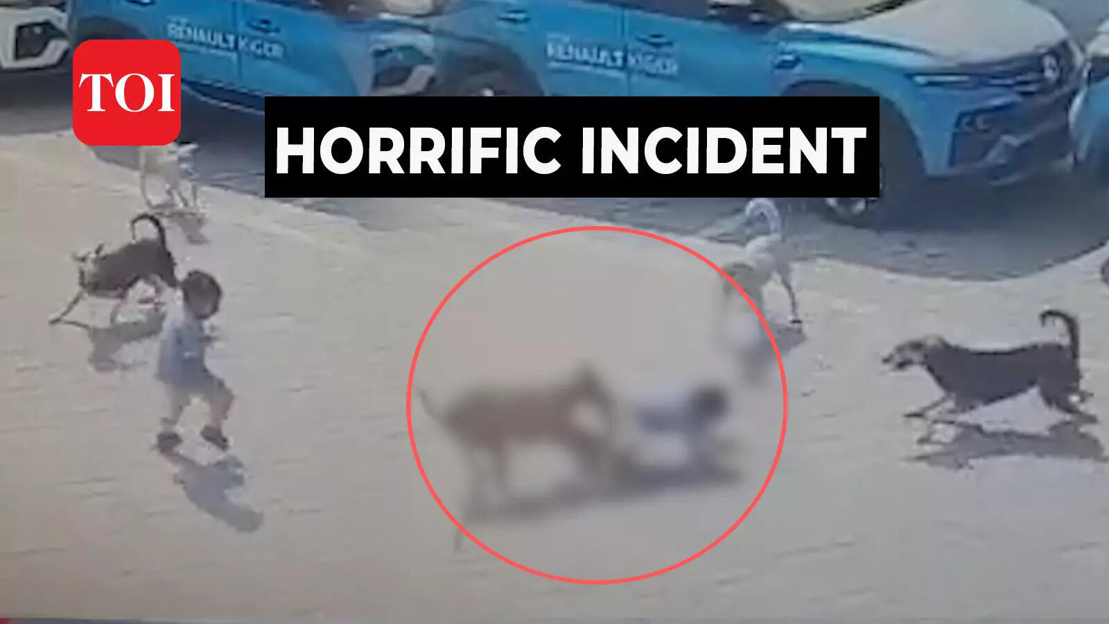 On cam: Toddler mauled to death by stray dogs in Hyderabad