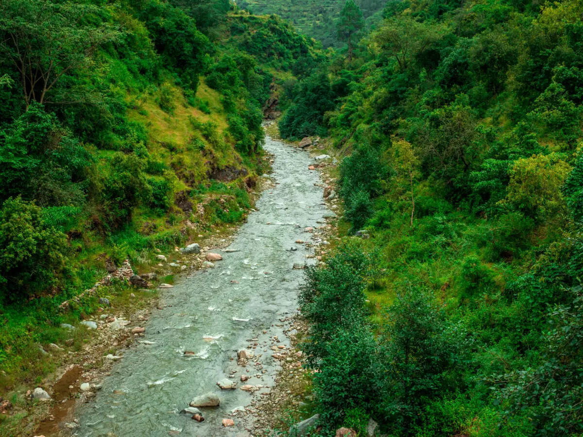 Uttarakhand’s Champawat district needs to be on your travel wishlist ...